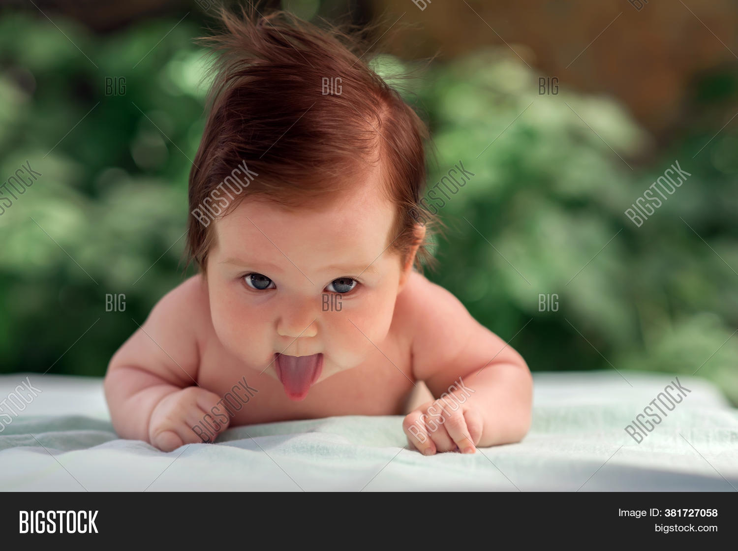 Portrait Infant Baby Image & Photo (Free Trial) | Bigstock
