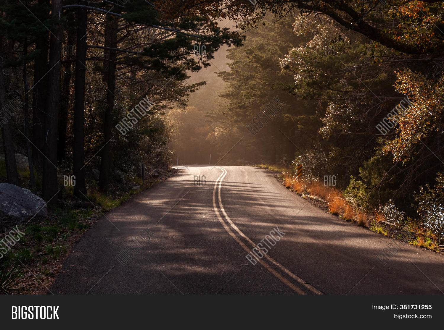 Beautiful Winding Road Image & Photo (Free Trial) | Bigstock