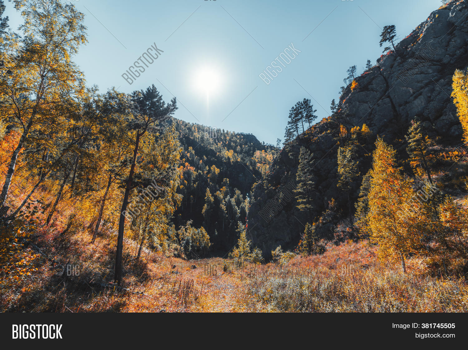 Wide-angle Autumn Image & Photo (Free Trial) | Bigstock