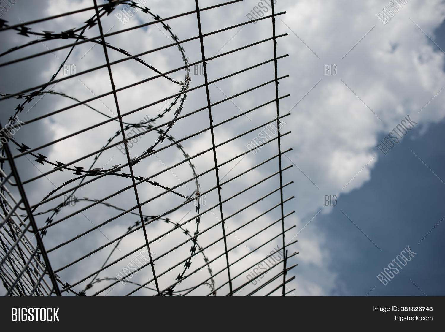 Barbed Wire Fence Image & Photo (Free Trial) | Bigstock