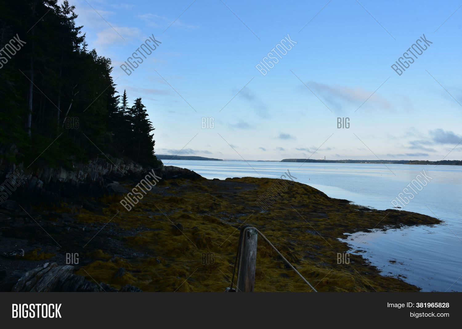 Beautiful Shoreline Image & Photo (Free Trial) | Bigstock