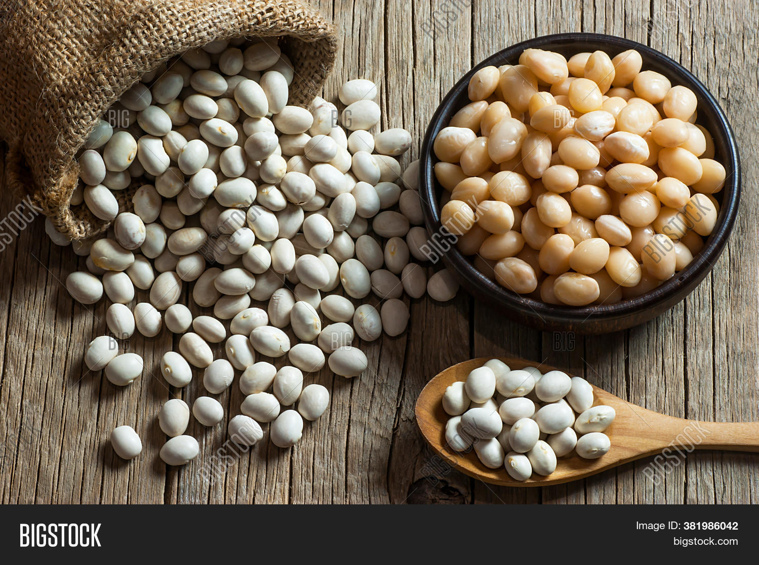 White Dried Haricot Image & Photo (Free Trial) | Bigstock