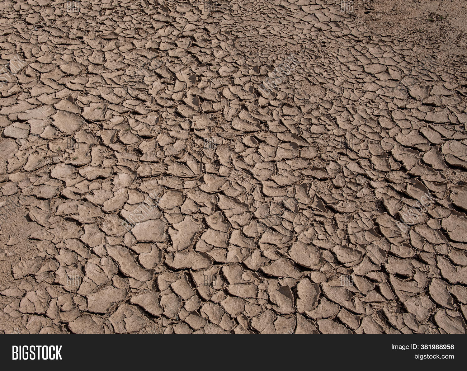 After Rain Desert Mud Image & Photo (Free Trial) | Bigstock