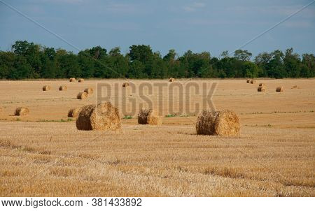 Hay Field Images, Illustrations & Vectors (Free) - Bigstock