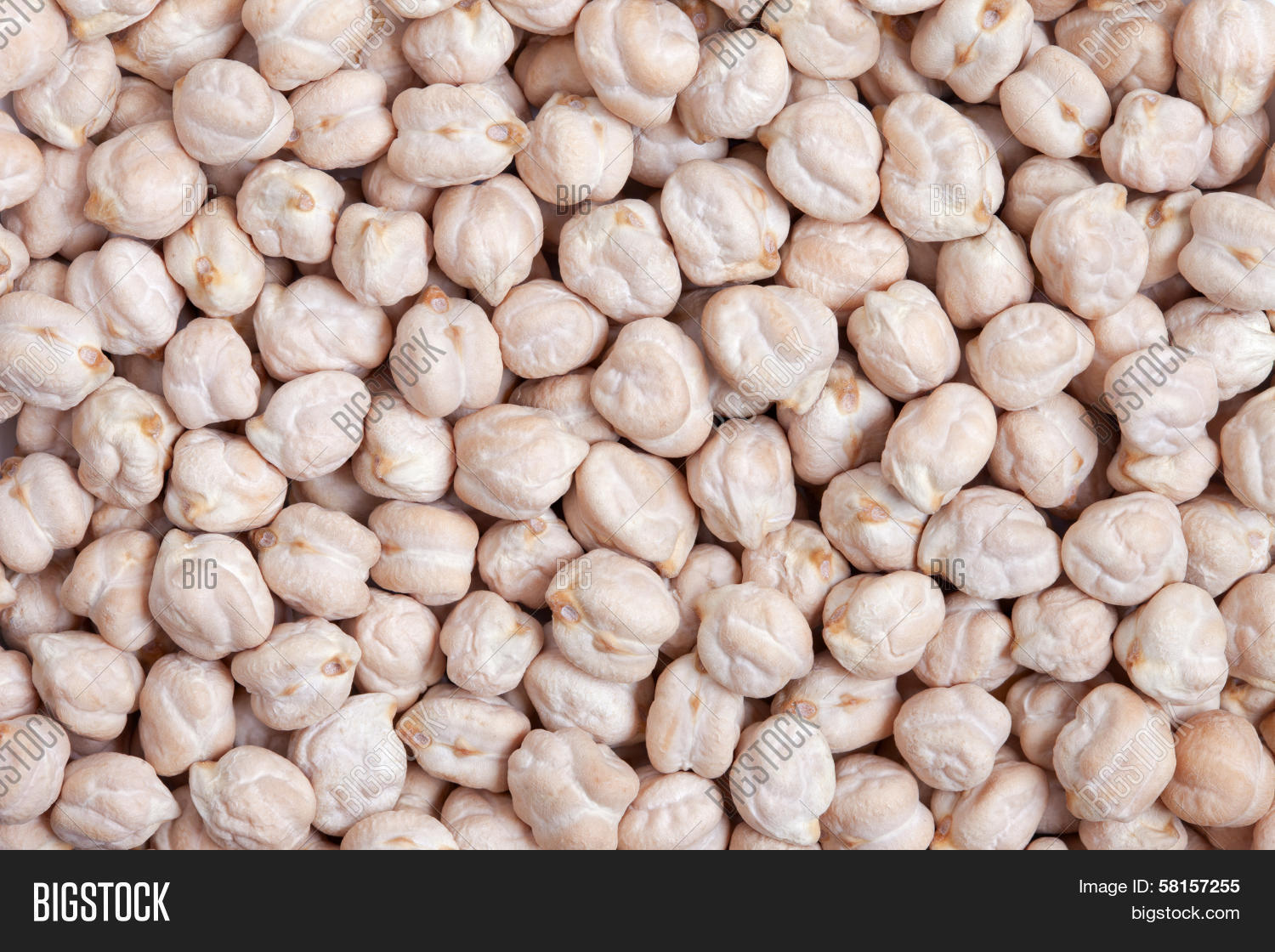 Chickpea Bean Image & Photo (Free Trial) | Bigstock