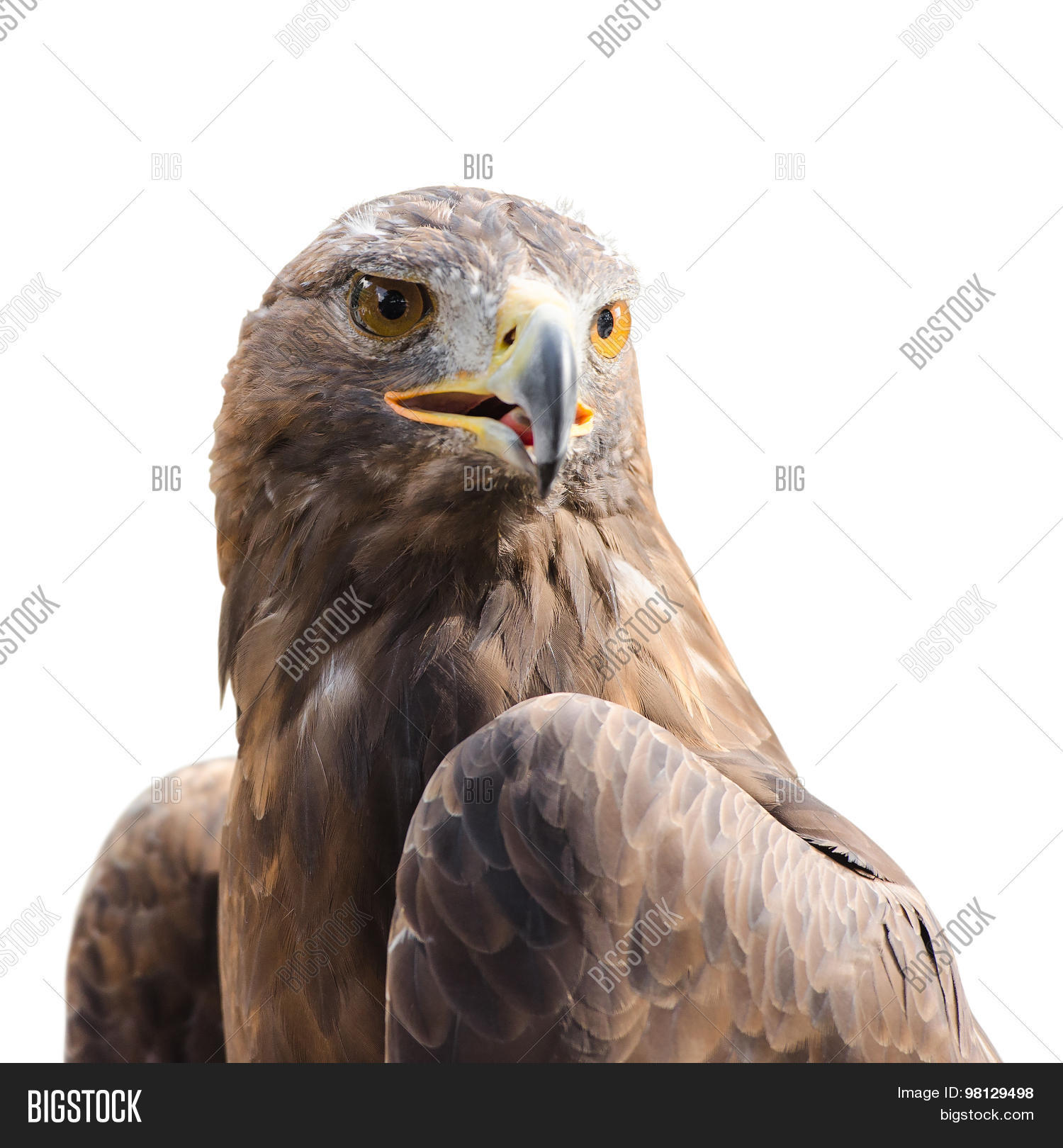 Beautiful Strong Image & Photo (Free Trial) | Bigstock