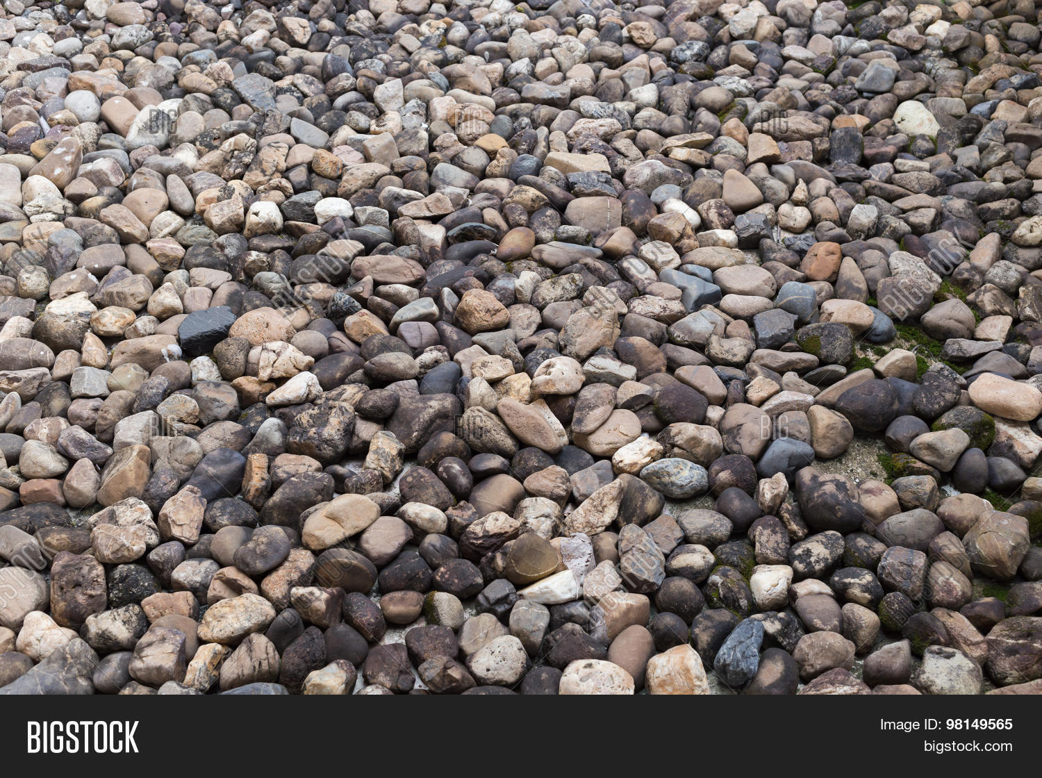 Pebble Stone Texture Image & Photo (Free Trial) | Bigstock