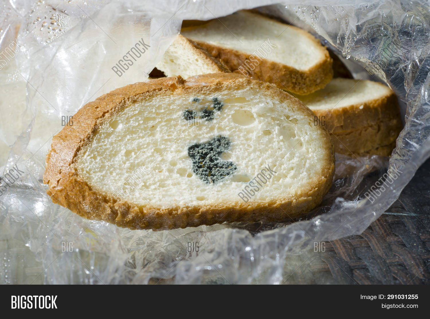 Mouldy Bread, Image & Photo (Free Trial) | Bigstock