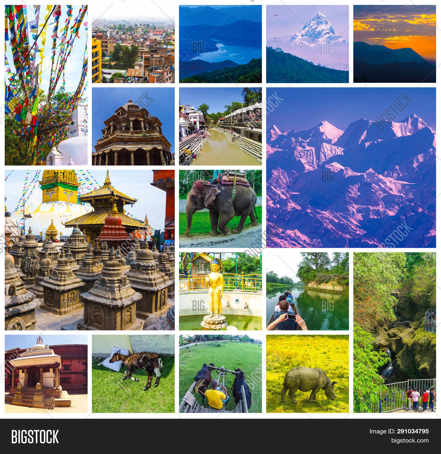 Collage Popular Image & Photo (Free Trial) | Bigstock