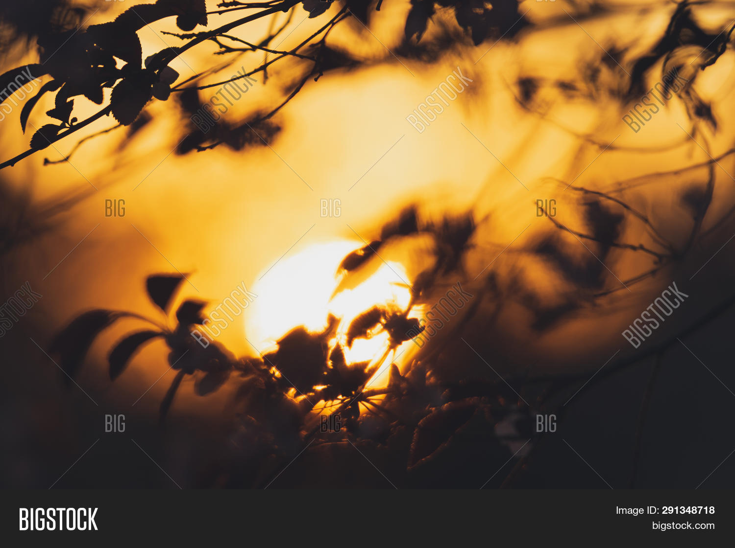 Sunset Springtime Image & Photo (Free Trial) | Bigstock