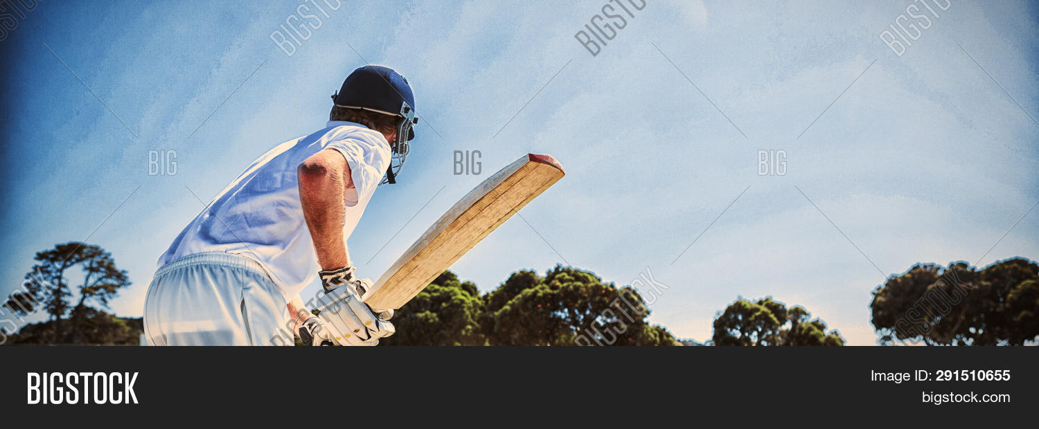 Side View Cricket Image & Photo (Free Trial) | Bigstock