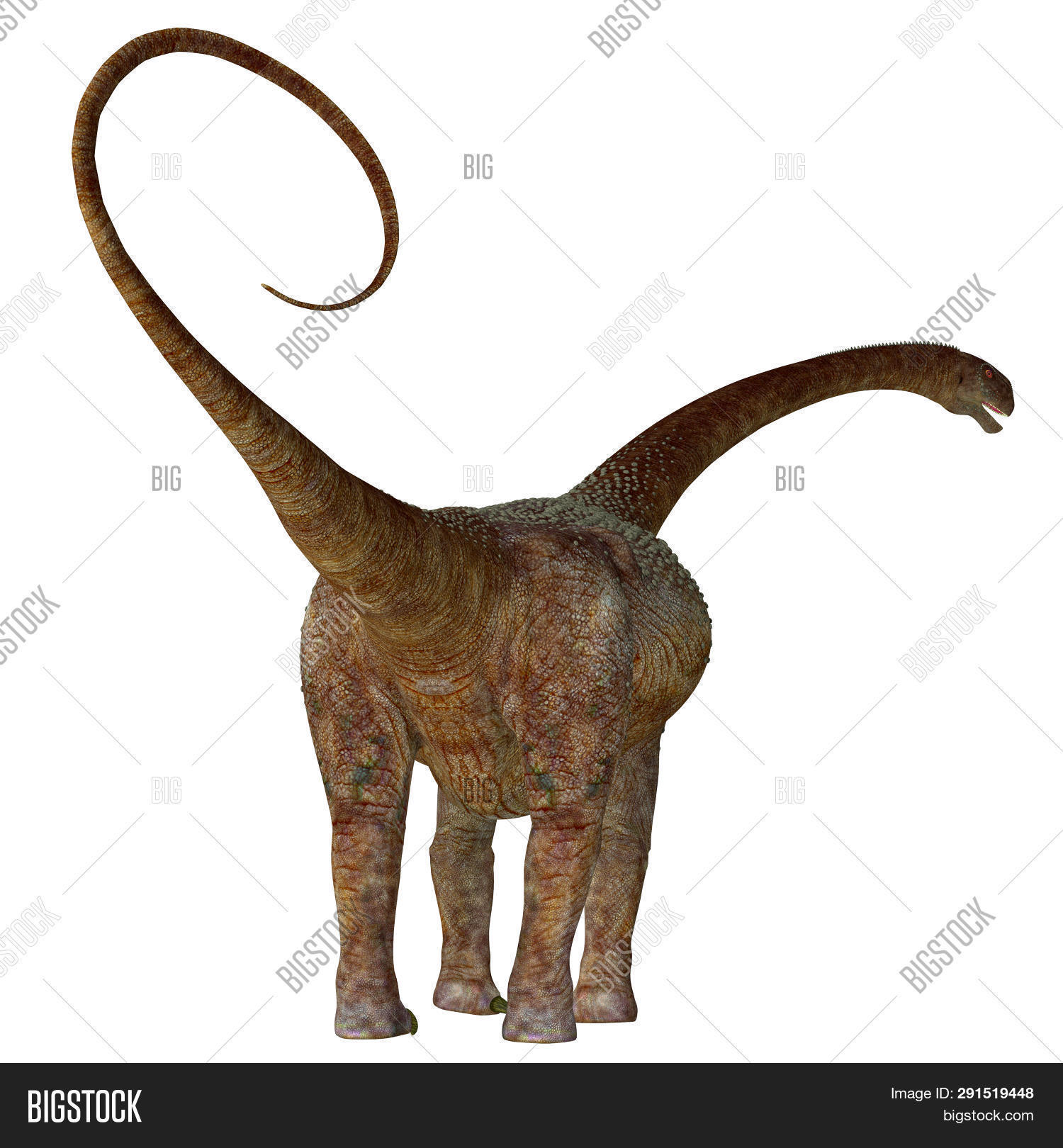 Malawisaurus Dinosaur Image & Photo (Free Trial) | Bigstock