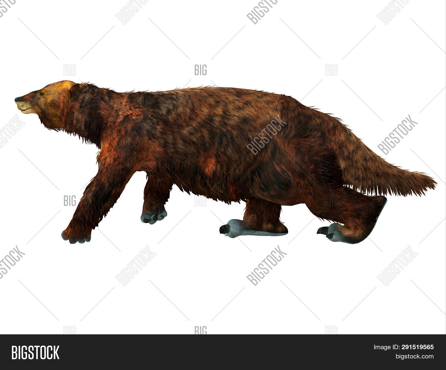 Megatherium Sloth Image & Photo (Free Trial) | Bigstock