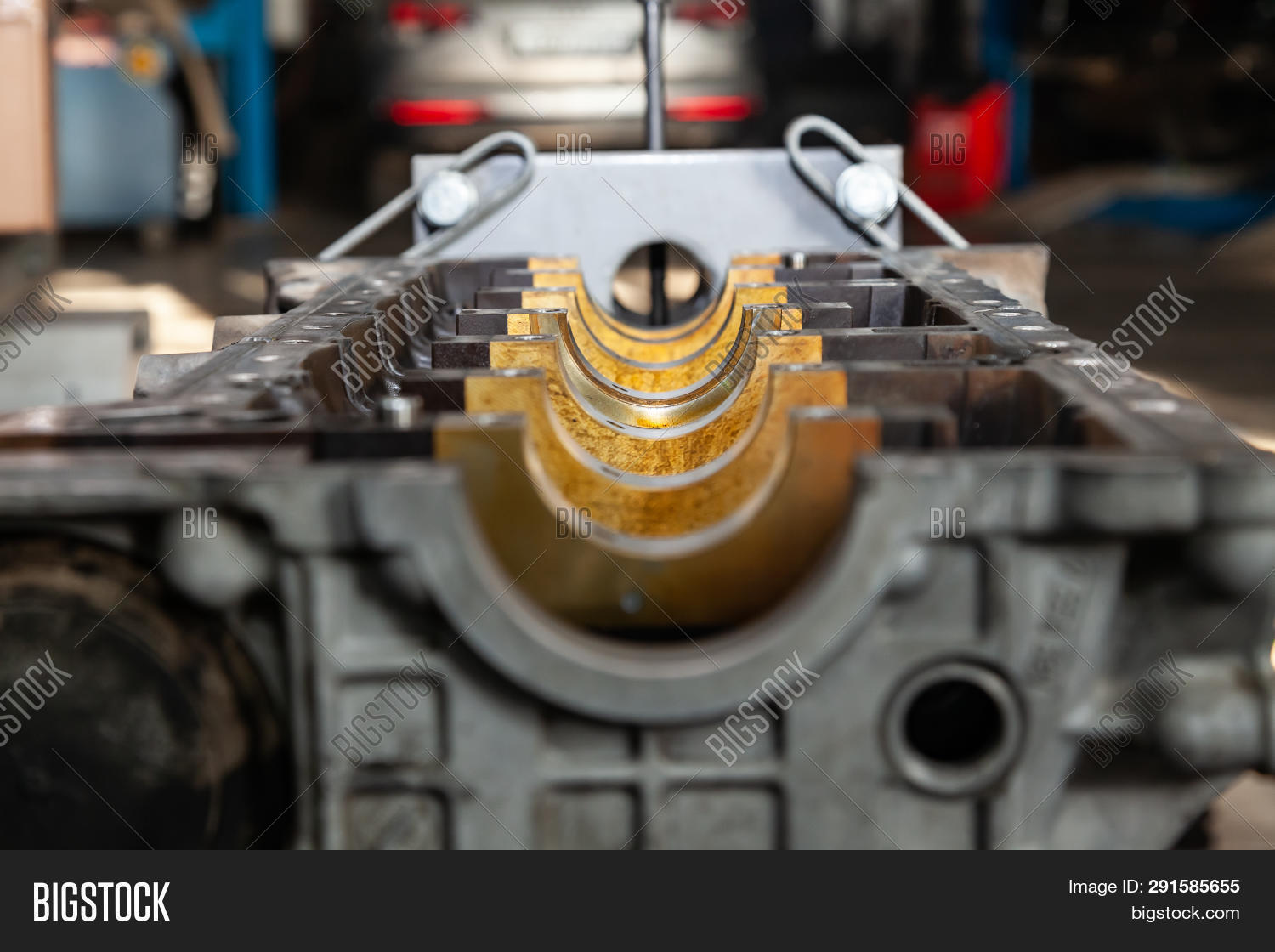 Close- View On Image & Photo (Free Trial) | Bigstock