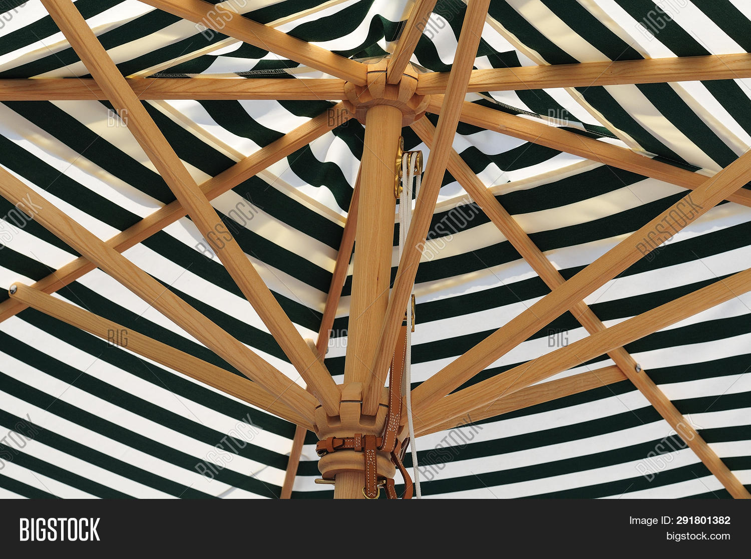 Large Parasol Green Image & Photo (Free Trial) | Bigstock