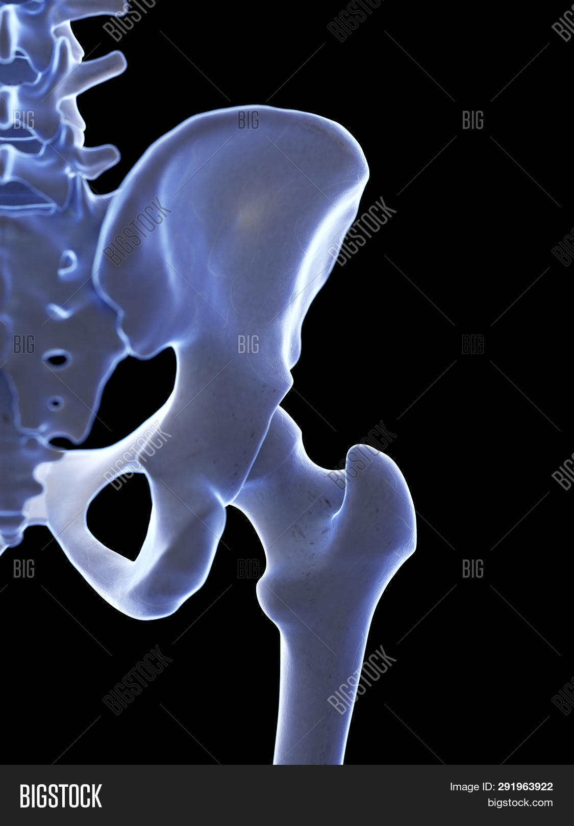 3d Rendered Medically Image & Photo (Free Trial) | Bigstock