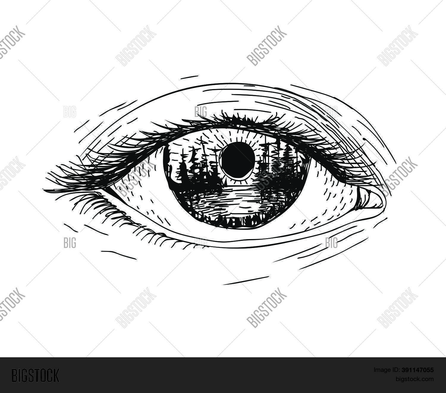Eye That Reflects Vector & Photo (Free Trial) | Bigstock