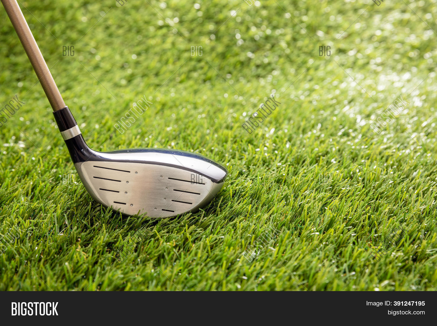 Golf Stick On Green Image & Photo (Free Trial) | Bigstock