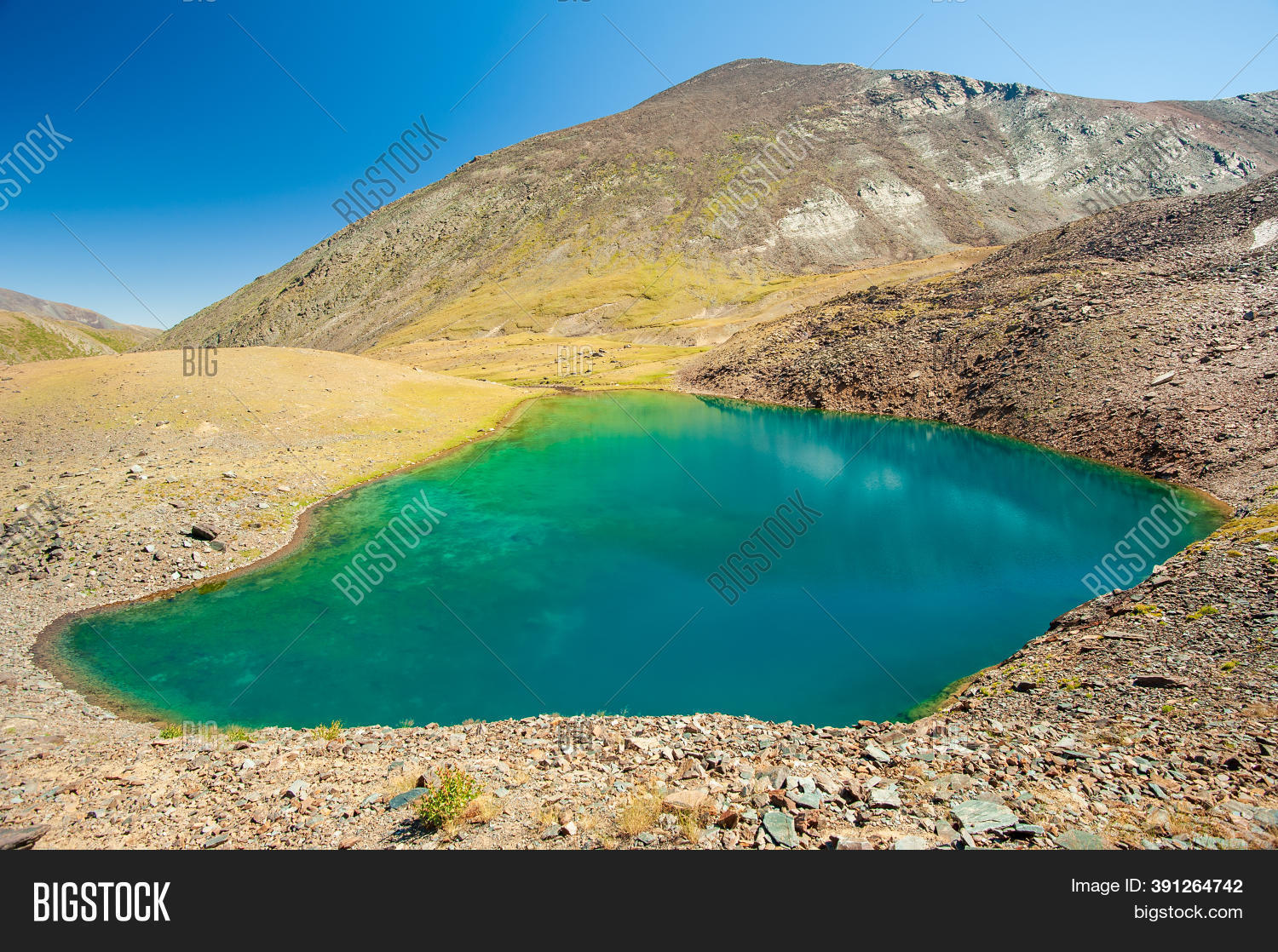 Small Colorfull Blue Image & Photo (Free Trial) | Bigstock