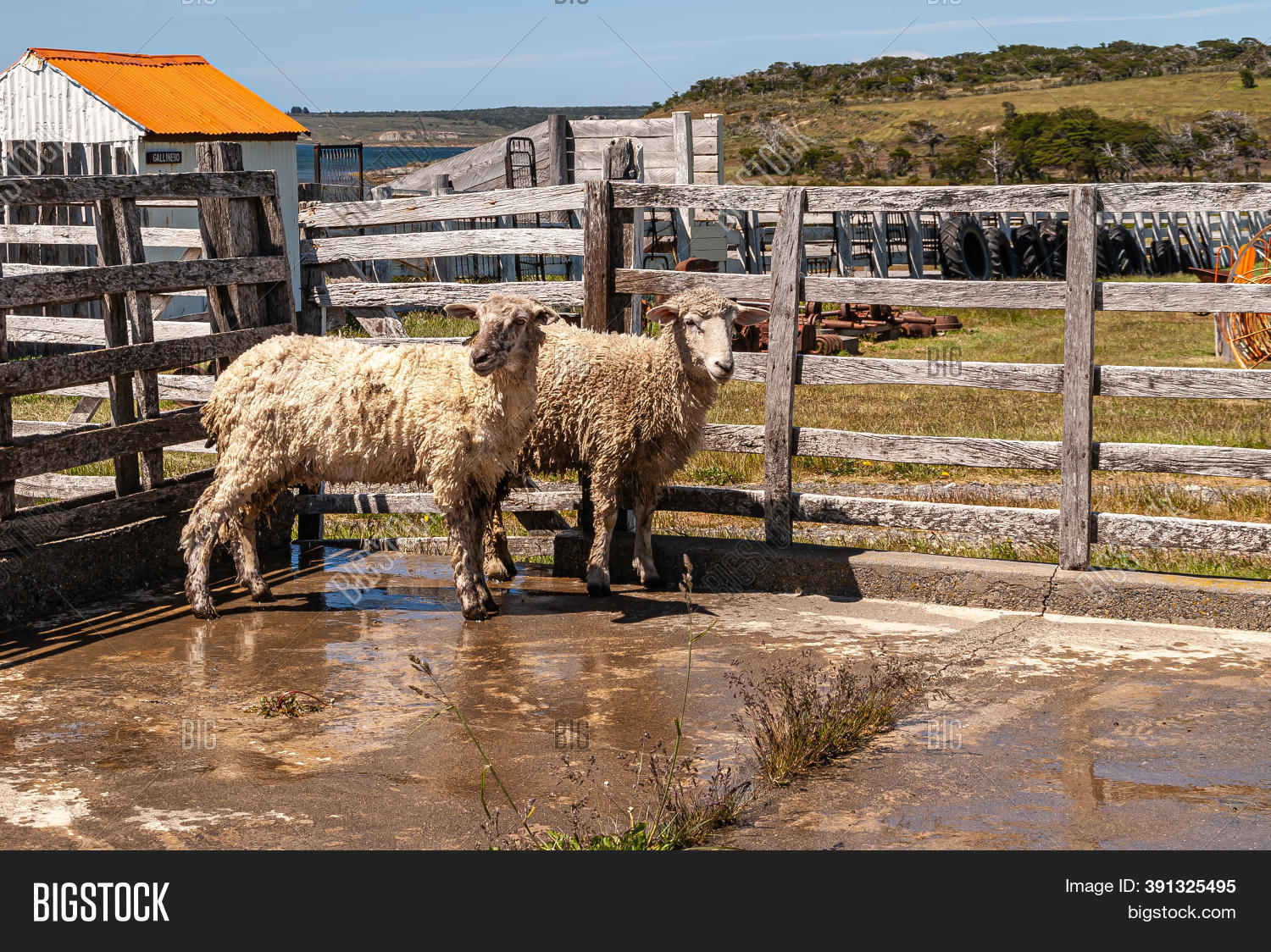Riesco Island, Chile Image & Photo (Free Trial) | Bigstock