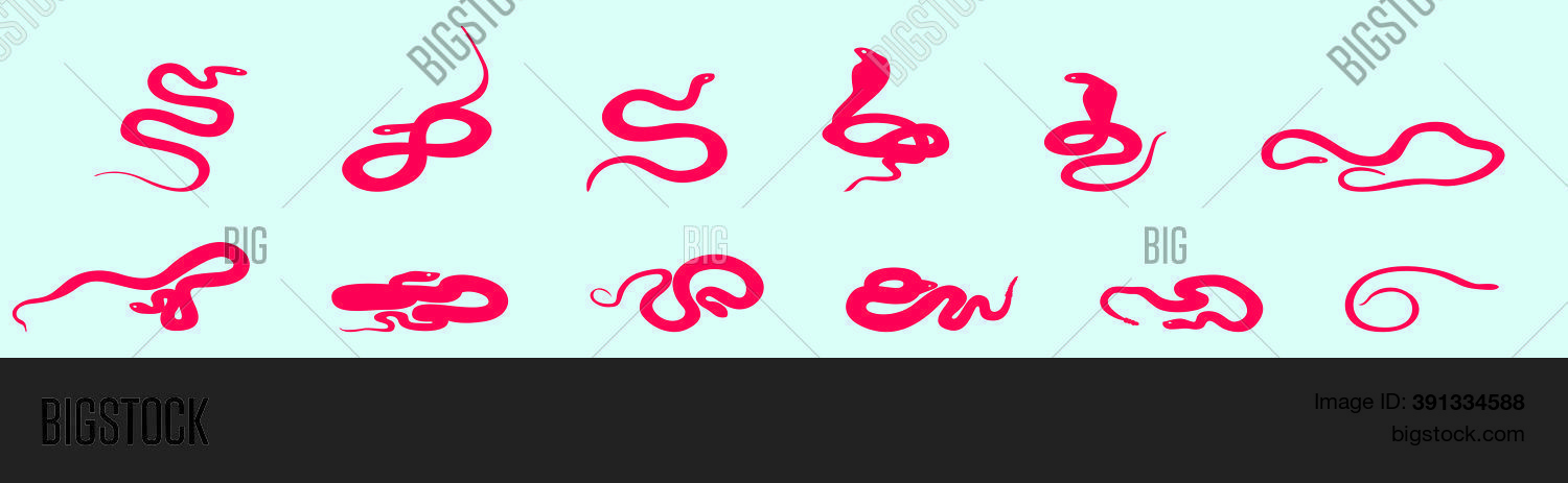 Set Snake Cartoon Vector & Photo (Free Trial) | Bigstock