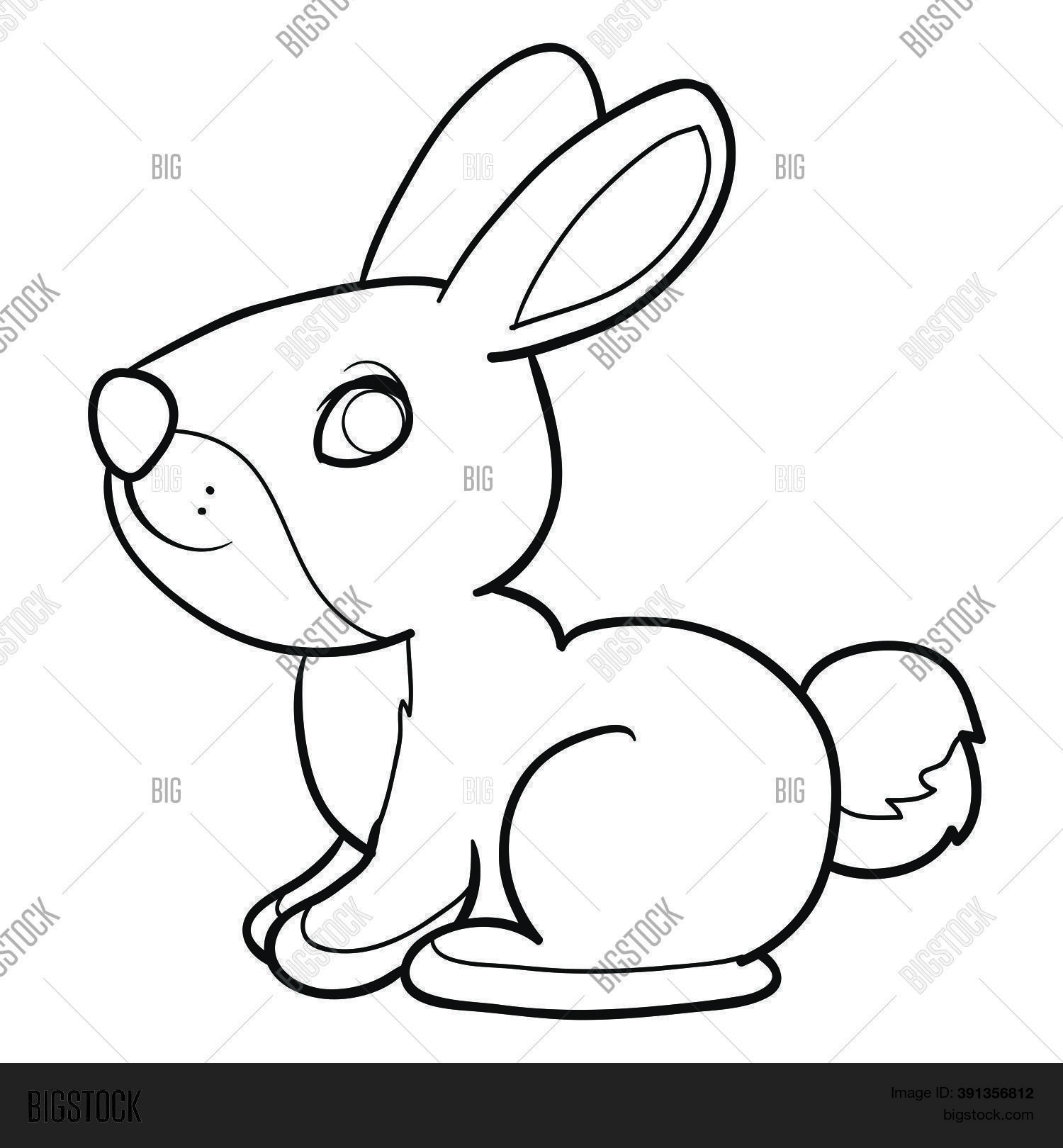 Sketch Cute Rabbit, Vector & Photo (Free Trial) | Bigstock
