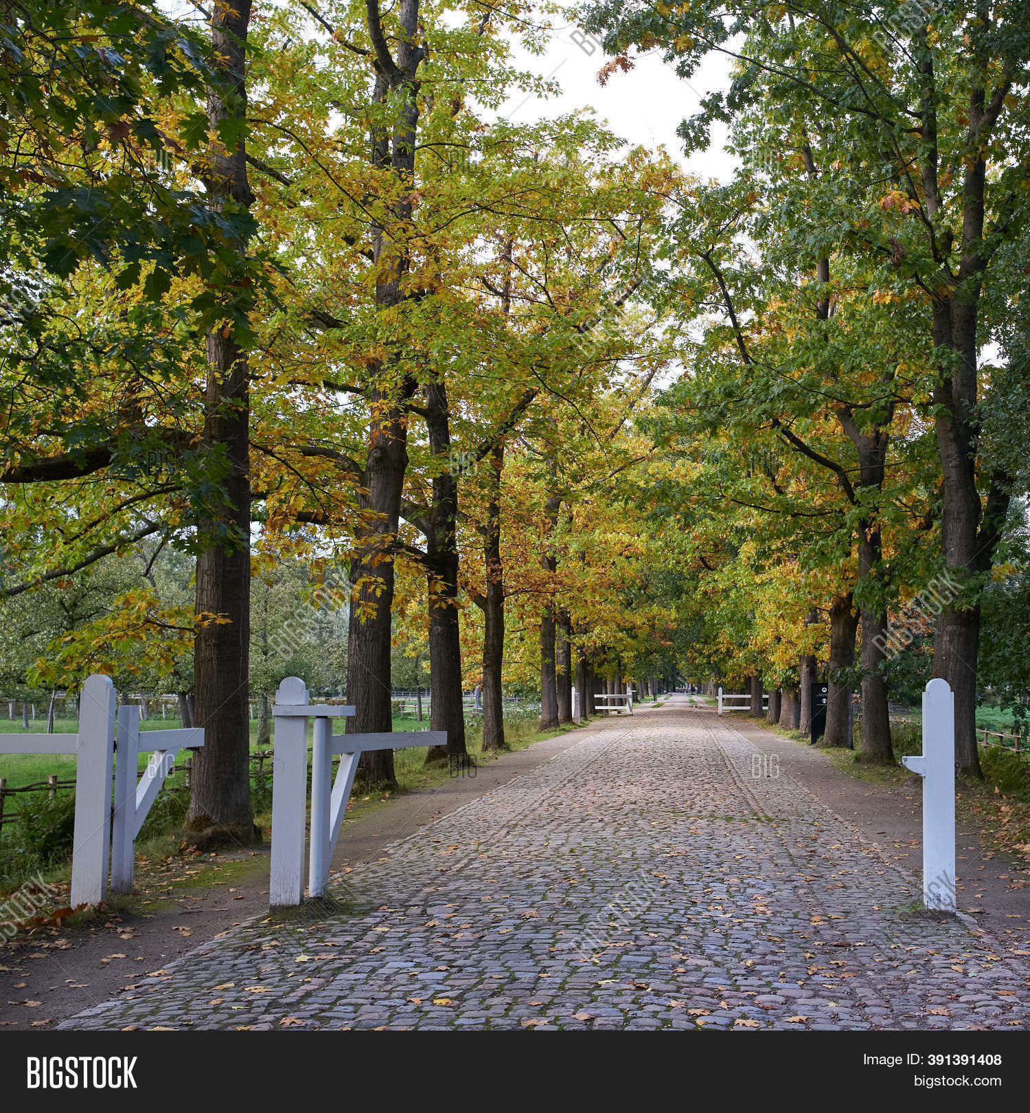 Path Cobblestone Image & Photo (Free Trial) | Bigstock