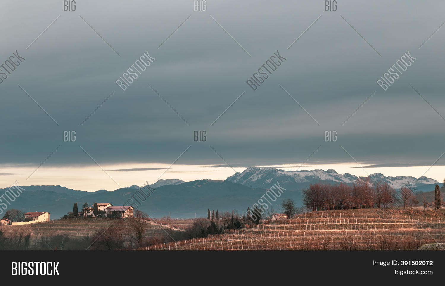 Cold Misty Morning Image & Photo (Free Trial) | Bigstock