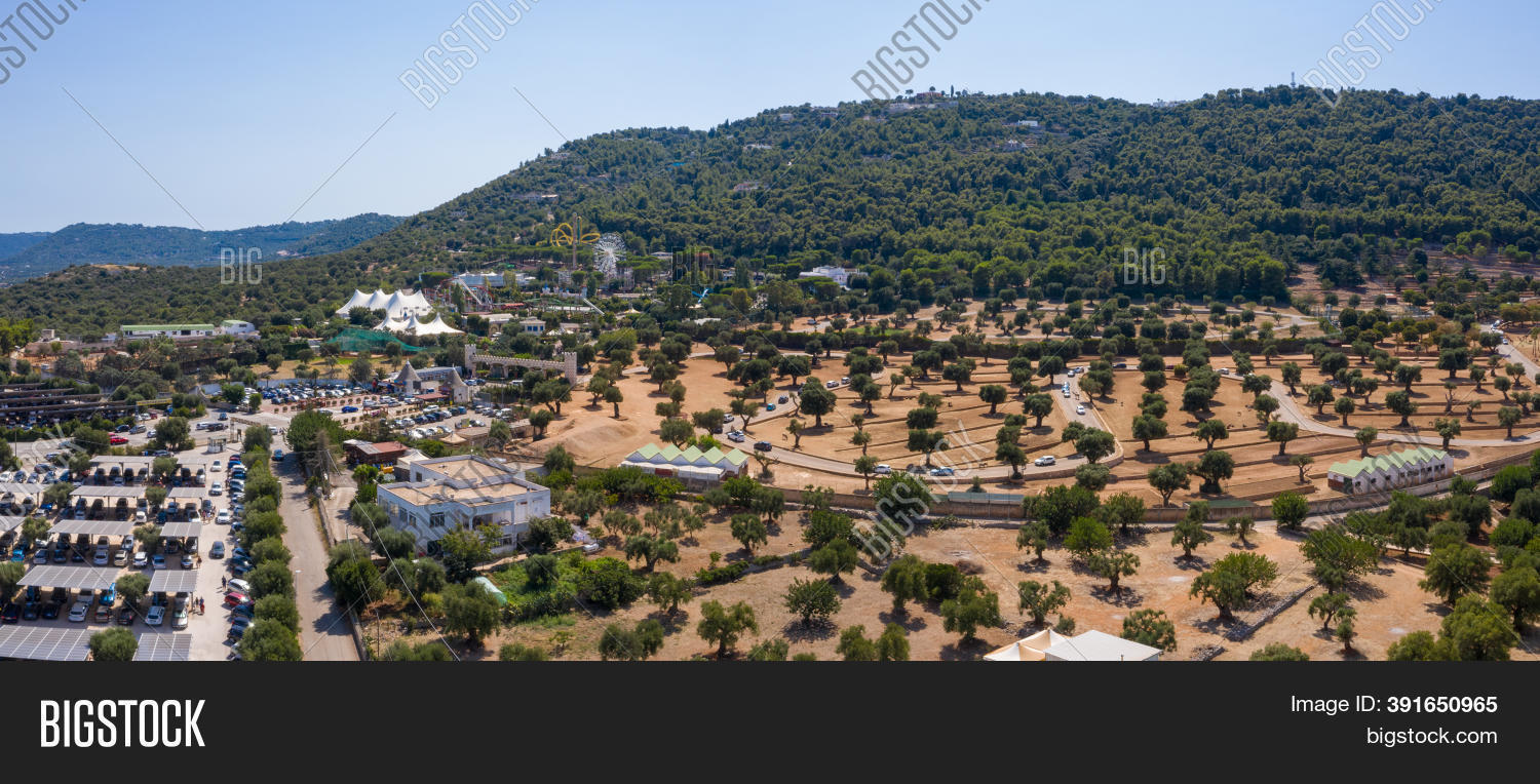 Safari Park Bari Where Image & Photo (Free Trial) | Bigstock