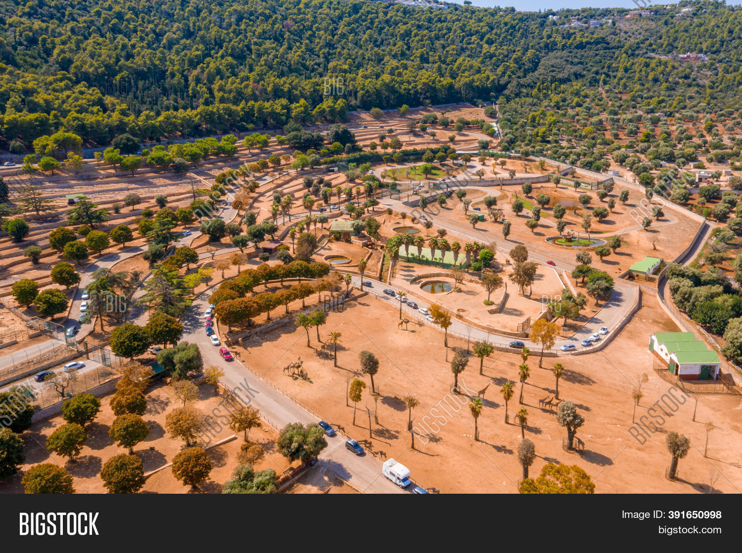 Safari Park Bari Where Image & Photo (Free Trial) | Bigstock