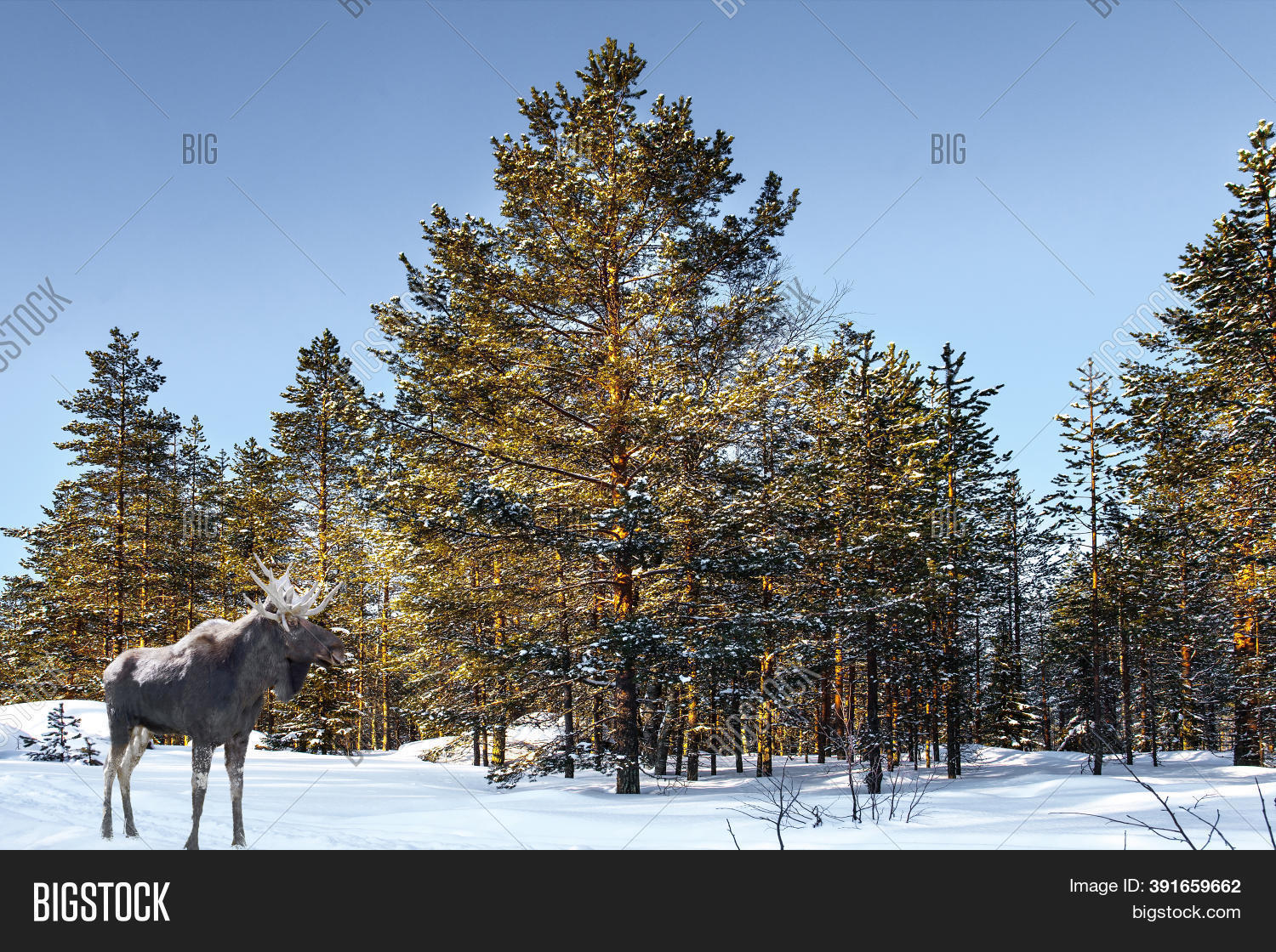 Extreme North Winter. Image & Photo (Free Trial) | Bigstock
