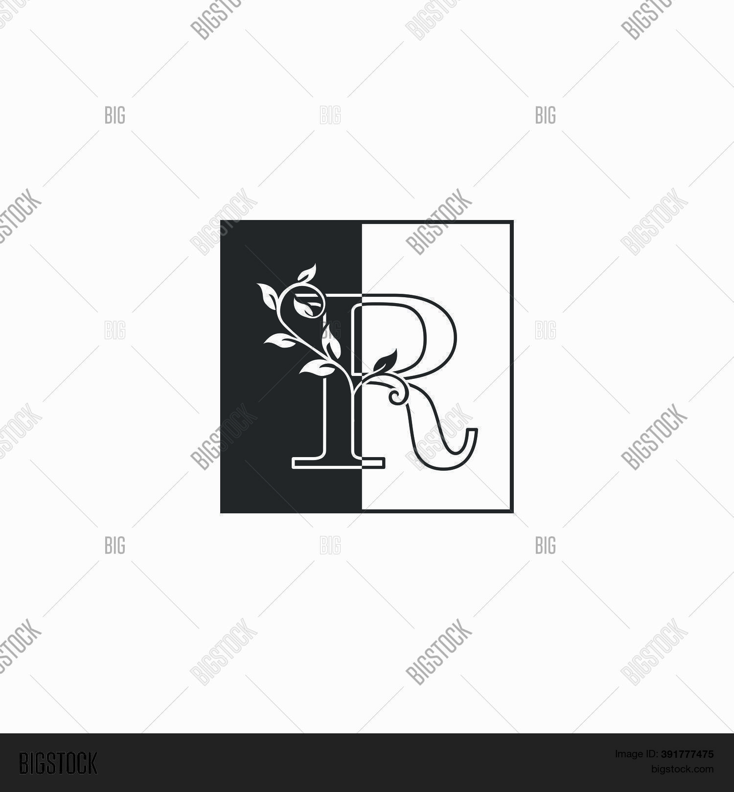 Square Outline Nature Vector & Photo (Free Trial) | Bigstock