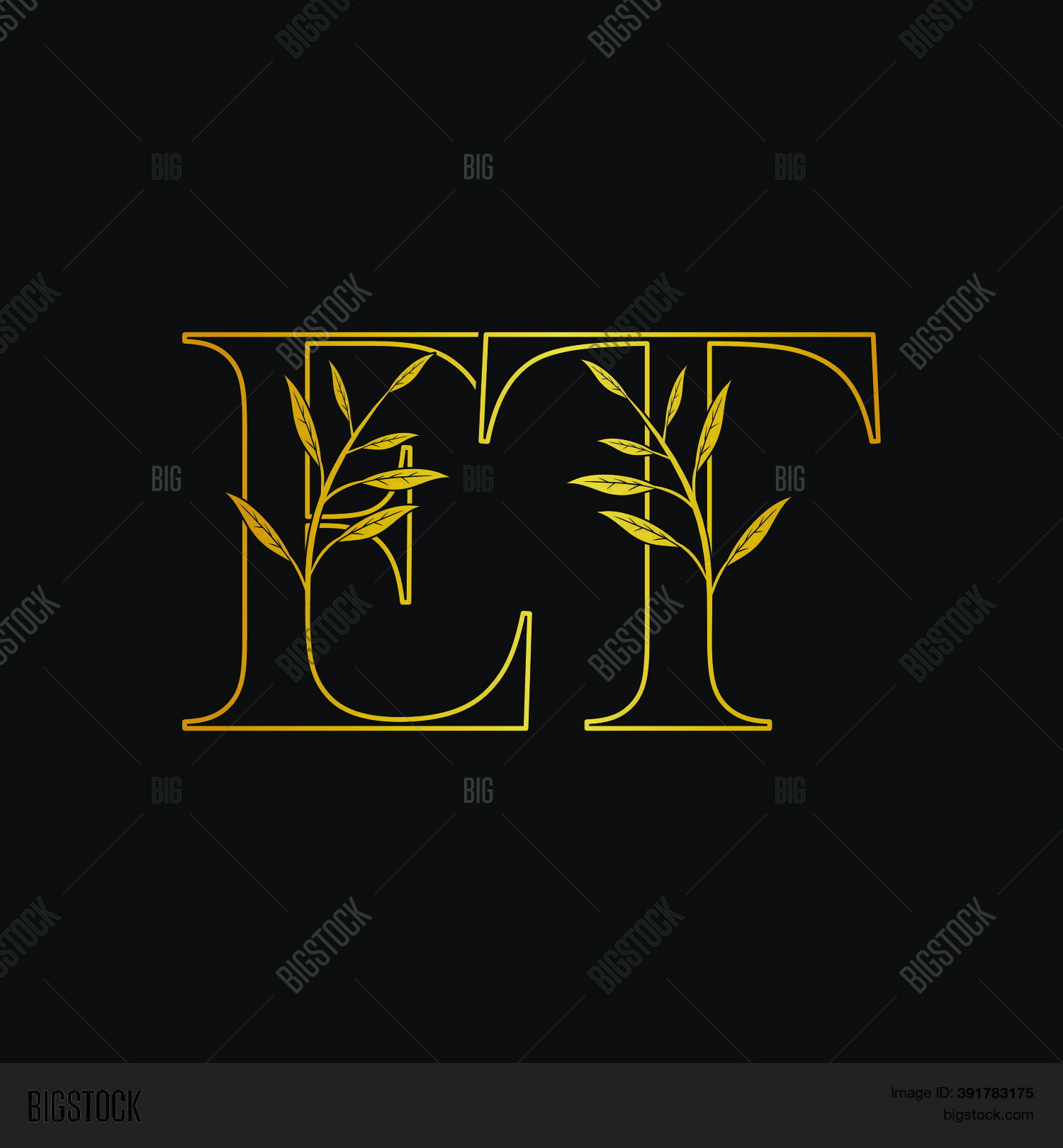 Golden Initial E T, Vector & Photo (Free Trial) | Bigstock