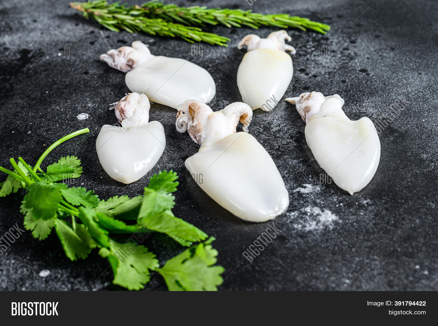 Fresh Raw Cuttlefish Image & Photo (Free Trial) | Bigstock