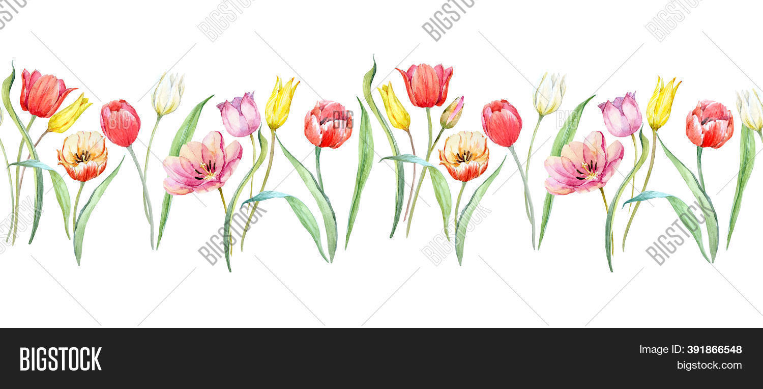 Beautiful Horizontal Image & Photo (Free Trial) | Bigstock