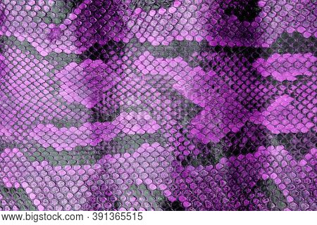 Coloured Real Snake Image & Photo (Free Trial) | Bigstock