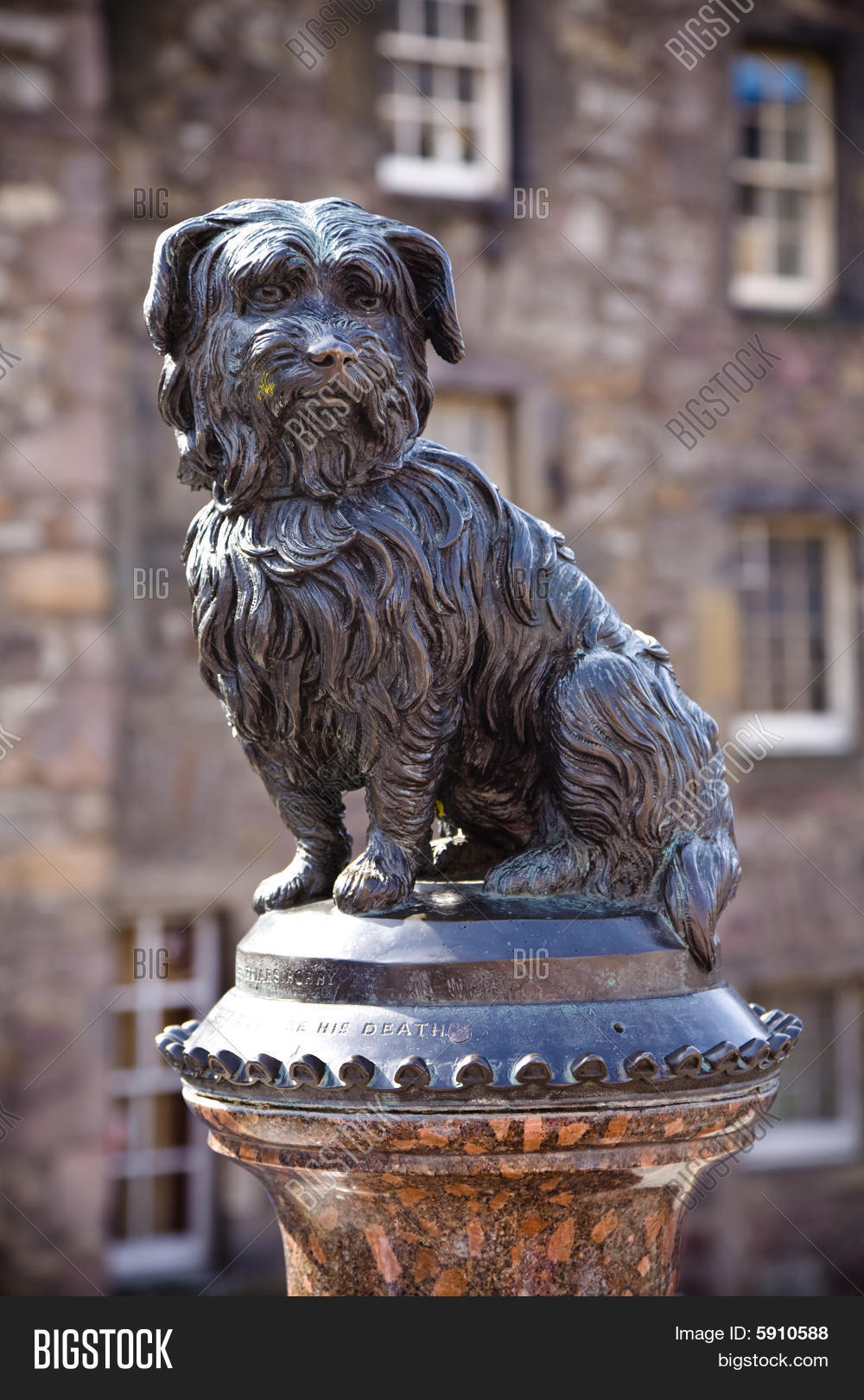 Greyfriars Bobby Image & Photo (Free Trial) | Bigstock