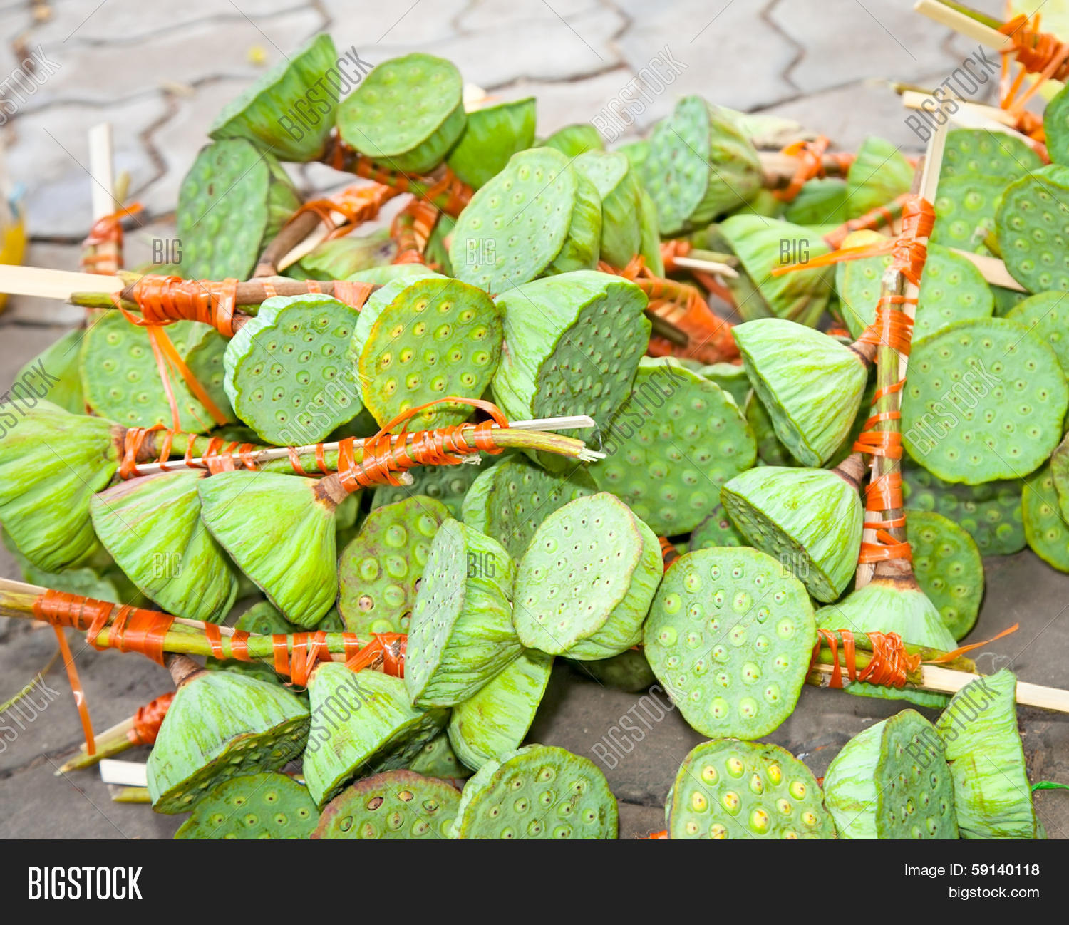 Lotus Fruit , Seed Image & Photo (Free Trial) | Bigstock