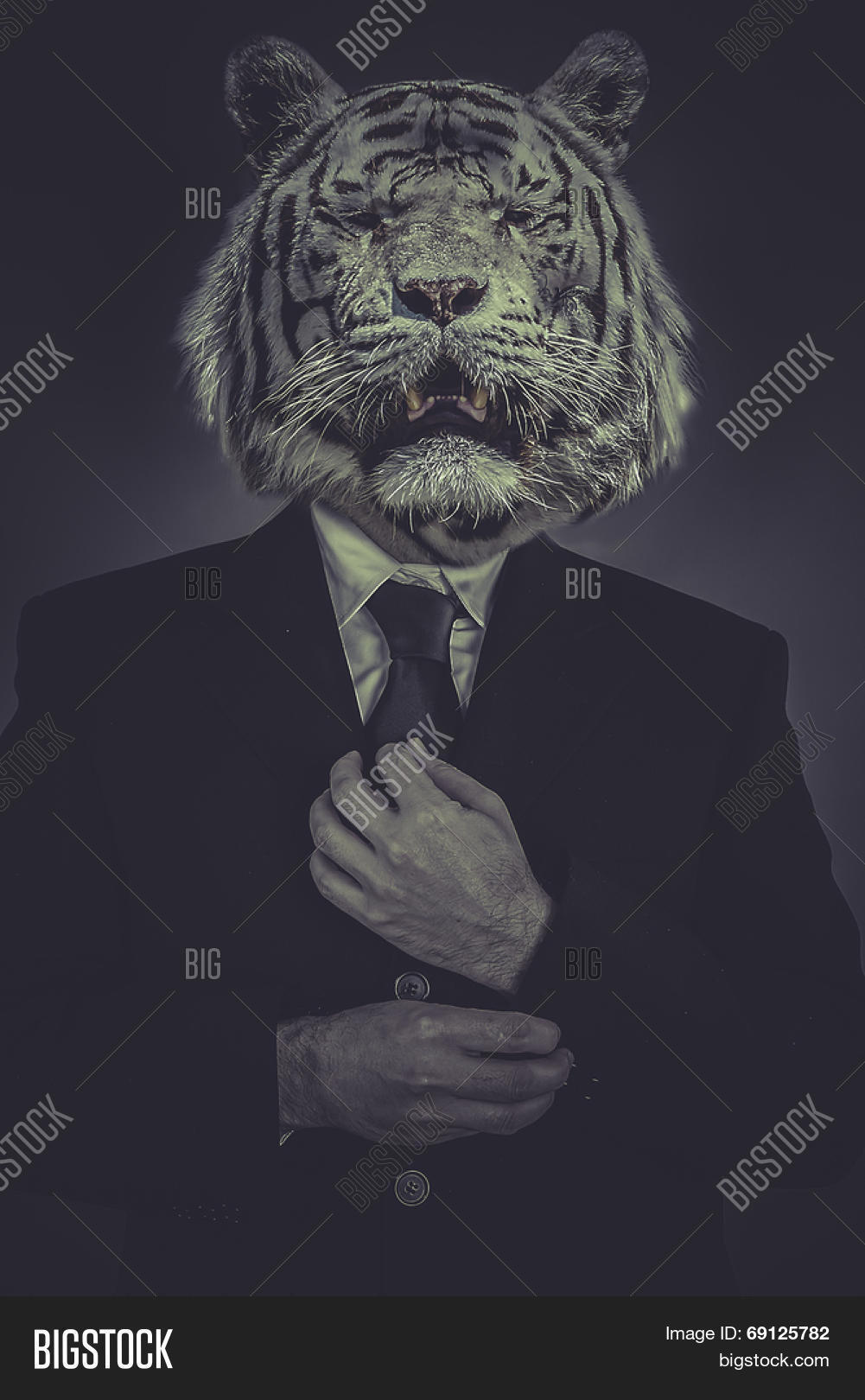 Tiger-headed Man Image & Photo (Free Trial) | Bigstock