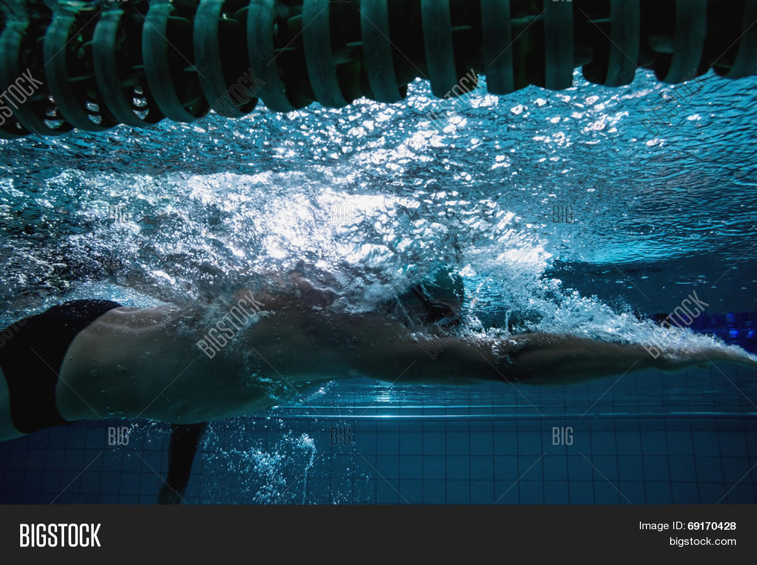 Fit Swimmer Training Image & Photo (Free Trial) | Bigstock