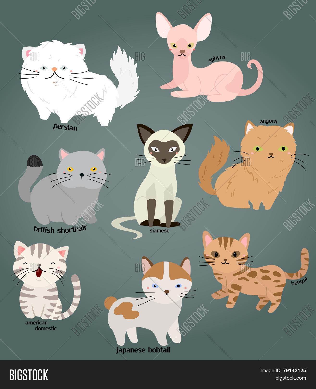 Cat Vector Set Vector & Photo (Free Trial) | Bigstock