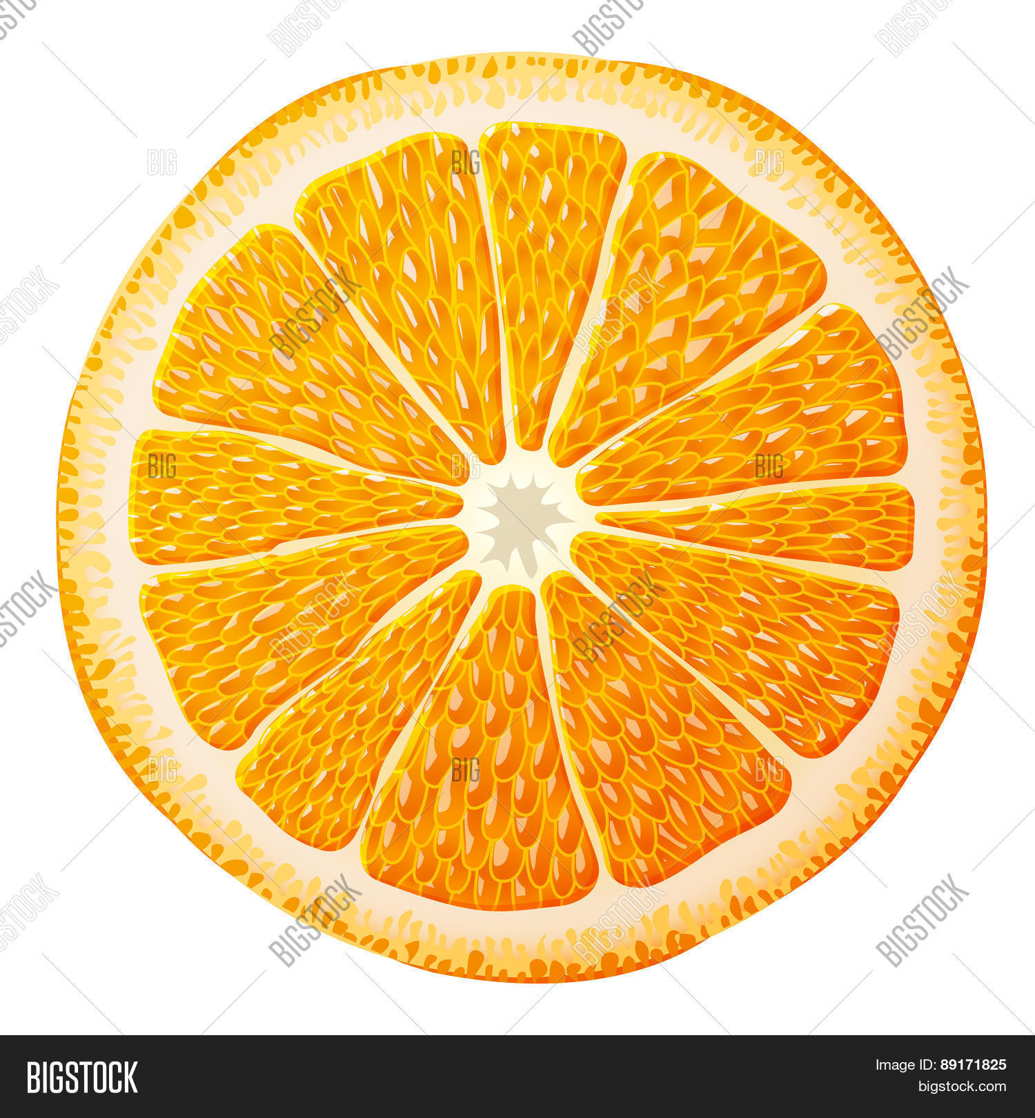 Orange Slice Close Vector & Photo (Free Trial) | Bigstock