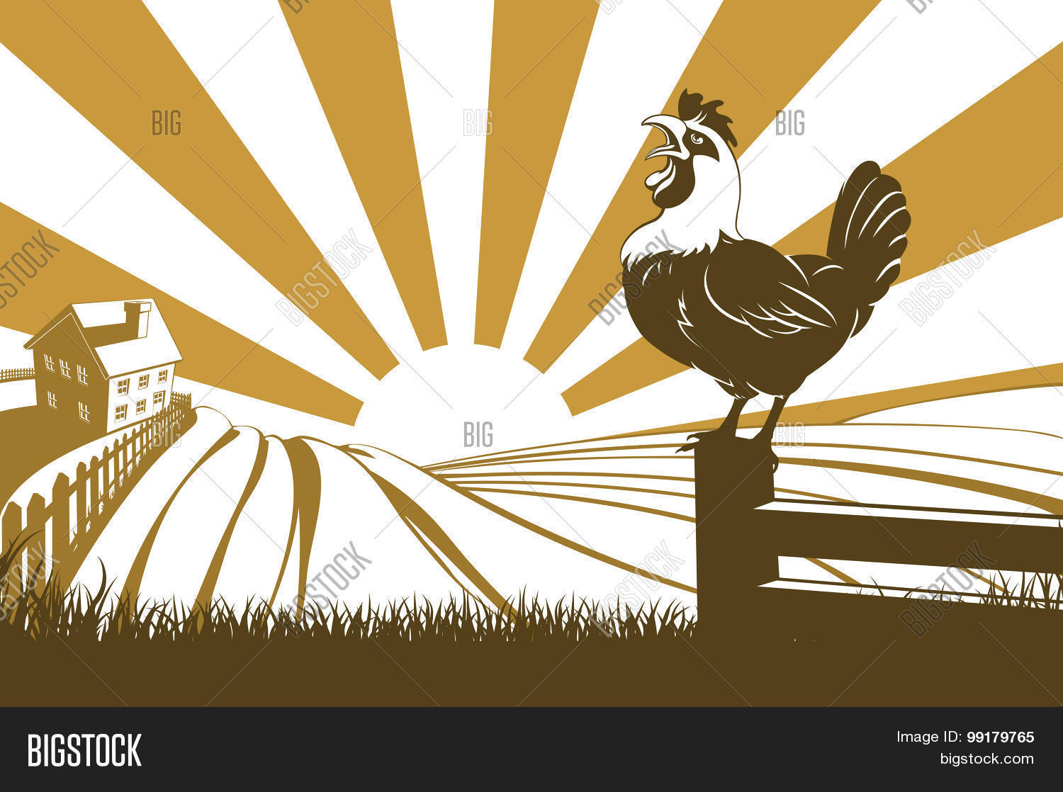 Farm Rooster Vector & Photo (Free Trial) | Bigstock