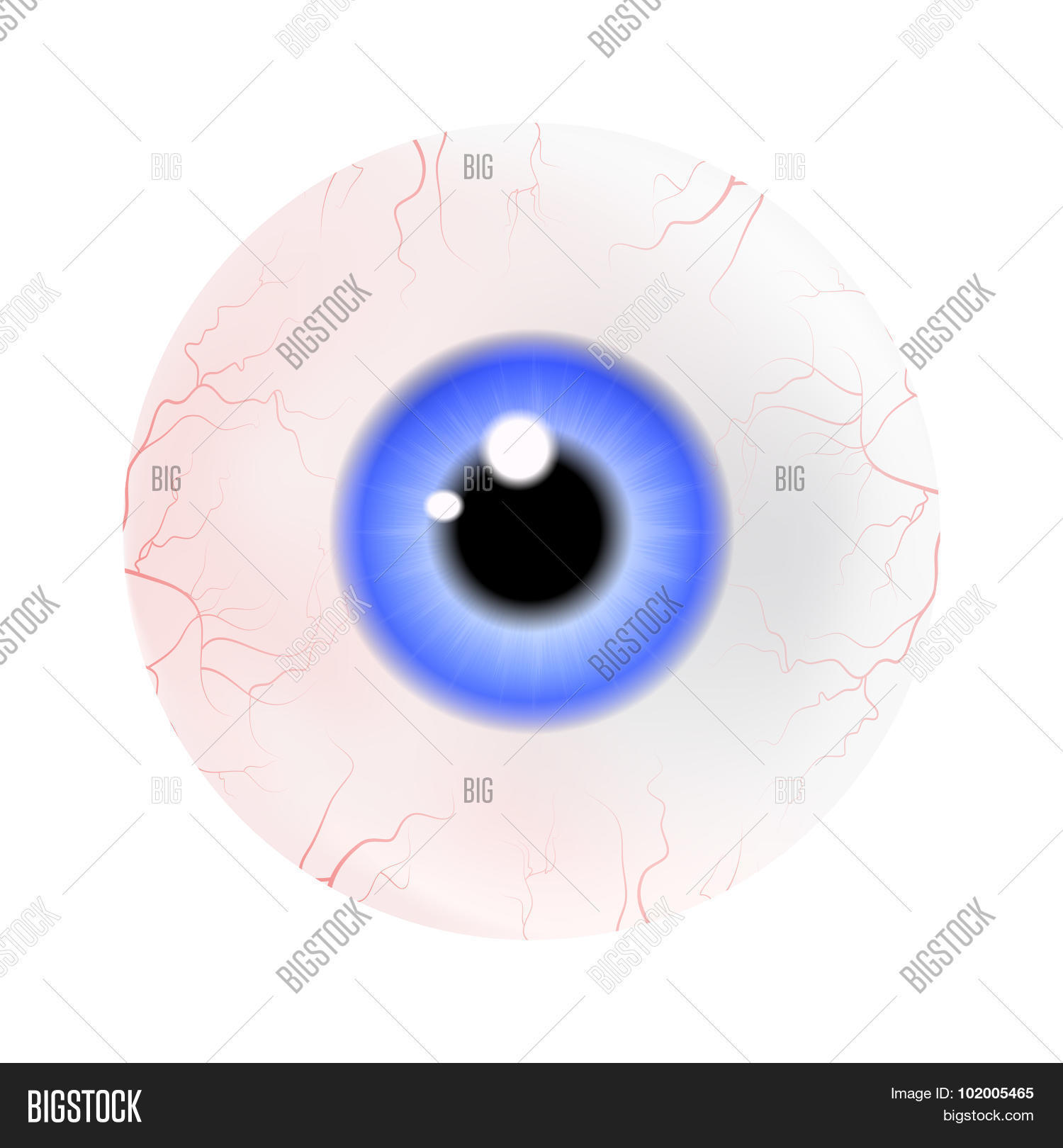 Image Realistic Human Vector & Photo (Free Trial) | Bigstock