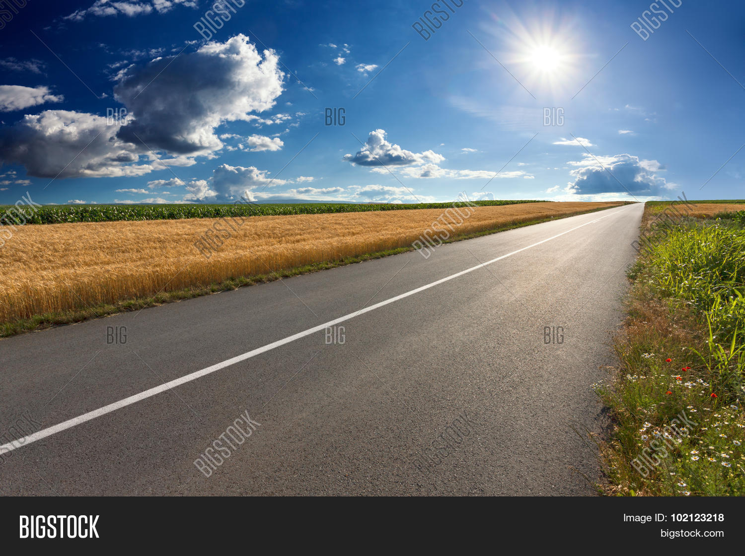 Driving On Empty Image & Photo (Free Trial) | Bigstock