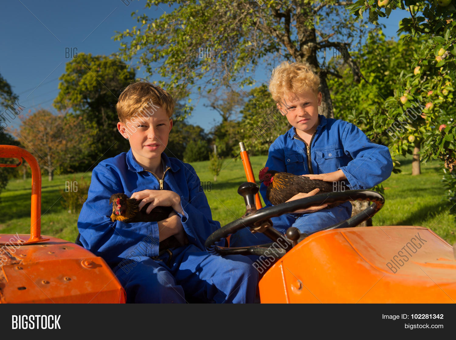 Farm Boys Chickens Image & Photo (Free Trial) | Bigstock