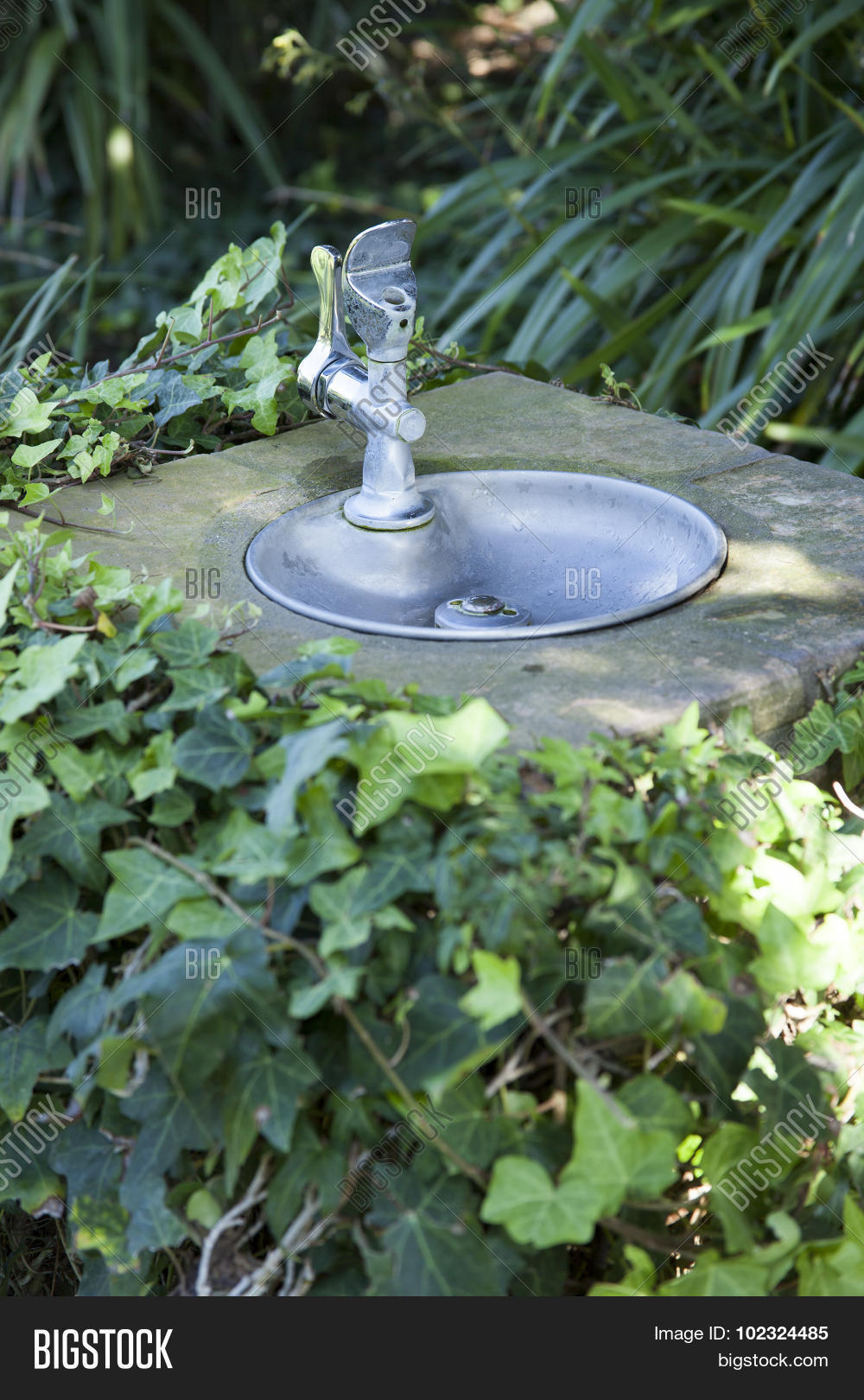 Drinking Fountain Park Image & Photo (Free Trial) | Bigstock