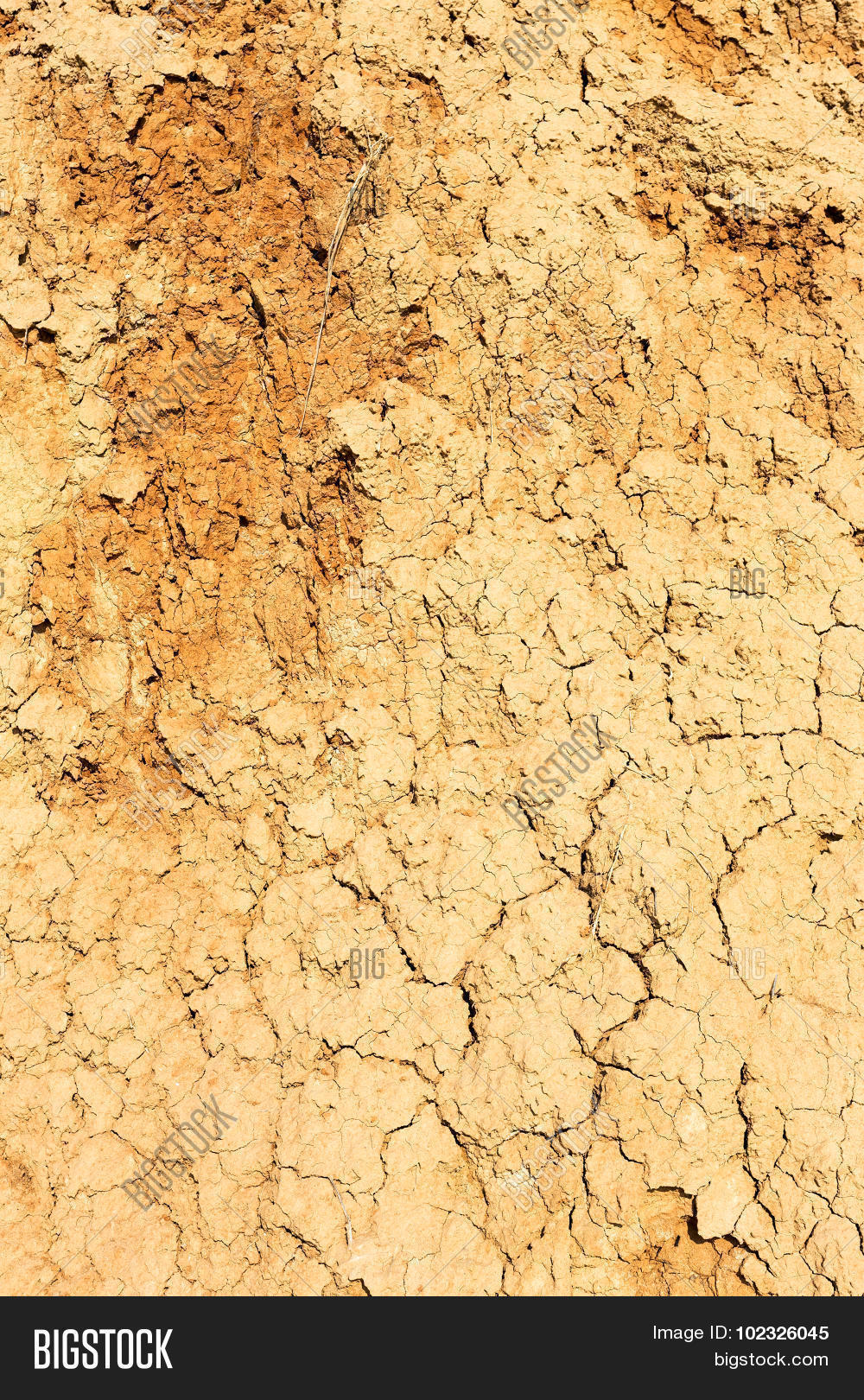 Seamless Texture - Image & Photo (Free Trial) | Bigstock