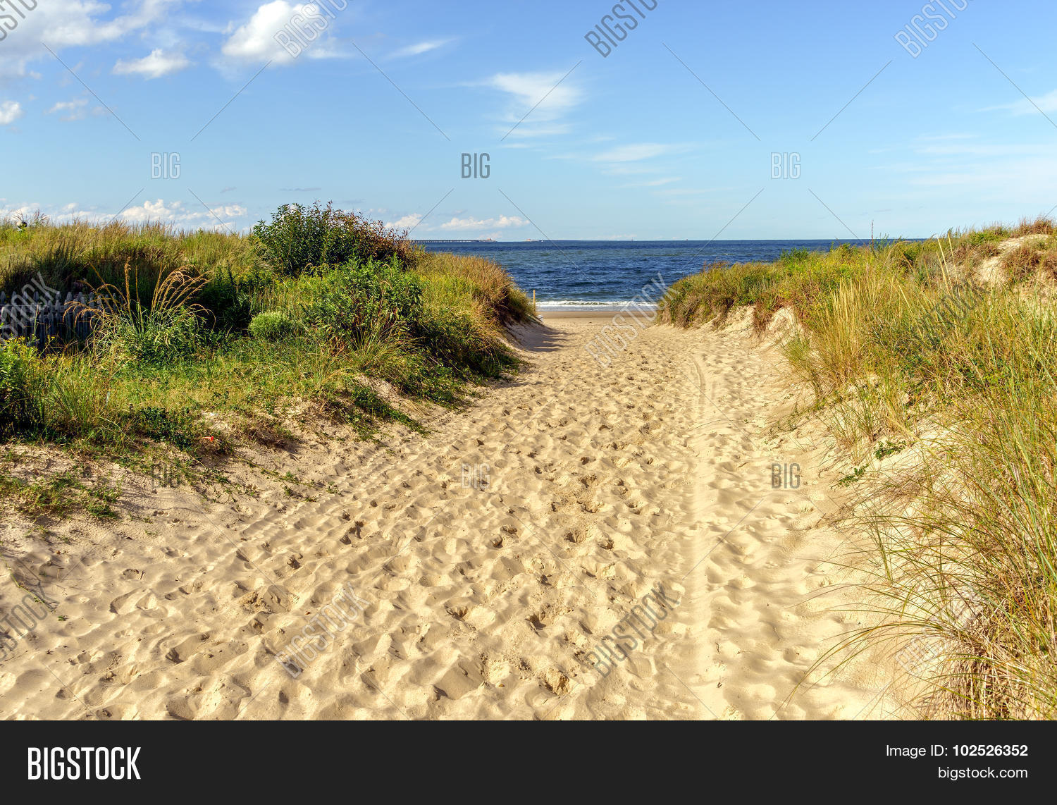 Beach Path Image & Photo (Free Trial) | Bigstock