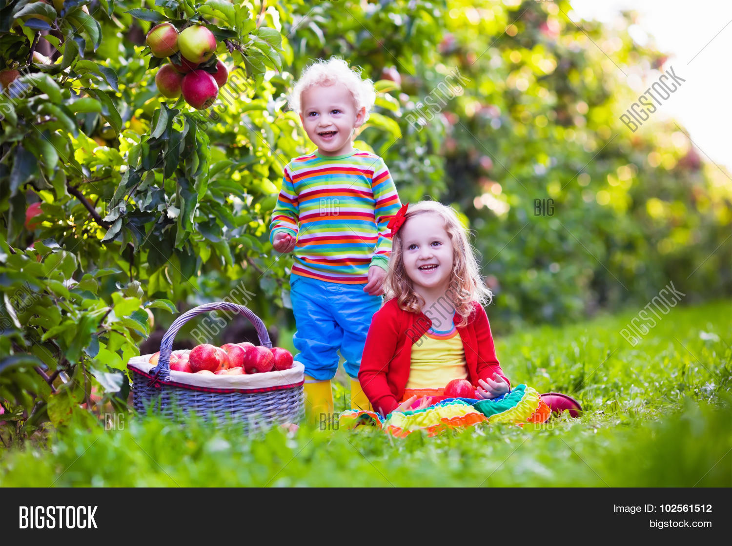 Kids Picking Fresh Image & Photo (Free Trial) | Bigstock